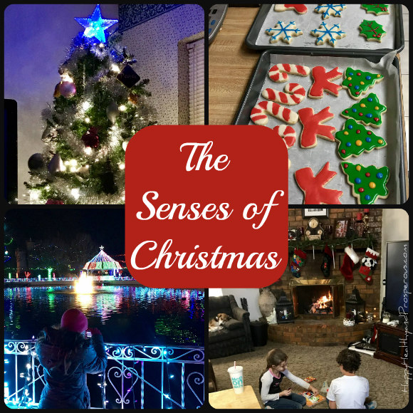 The Senses of Christmas - Happy, Healthy & Prosperous