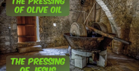 Happy, Healthy & Prosperous - Life Skills for Success ~ Pressing Toward ...